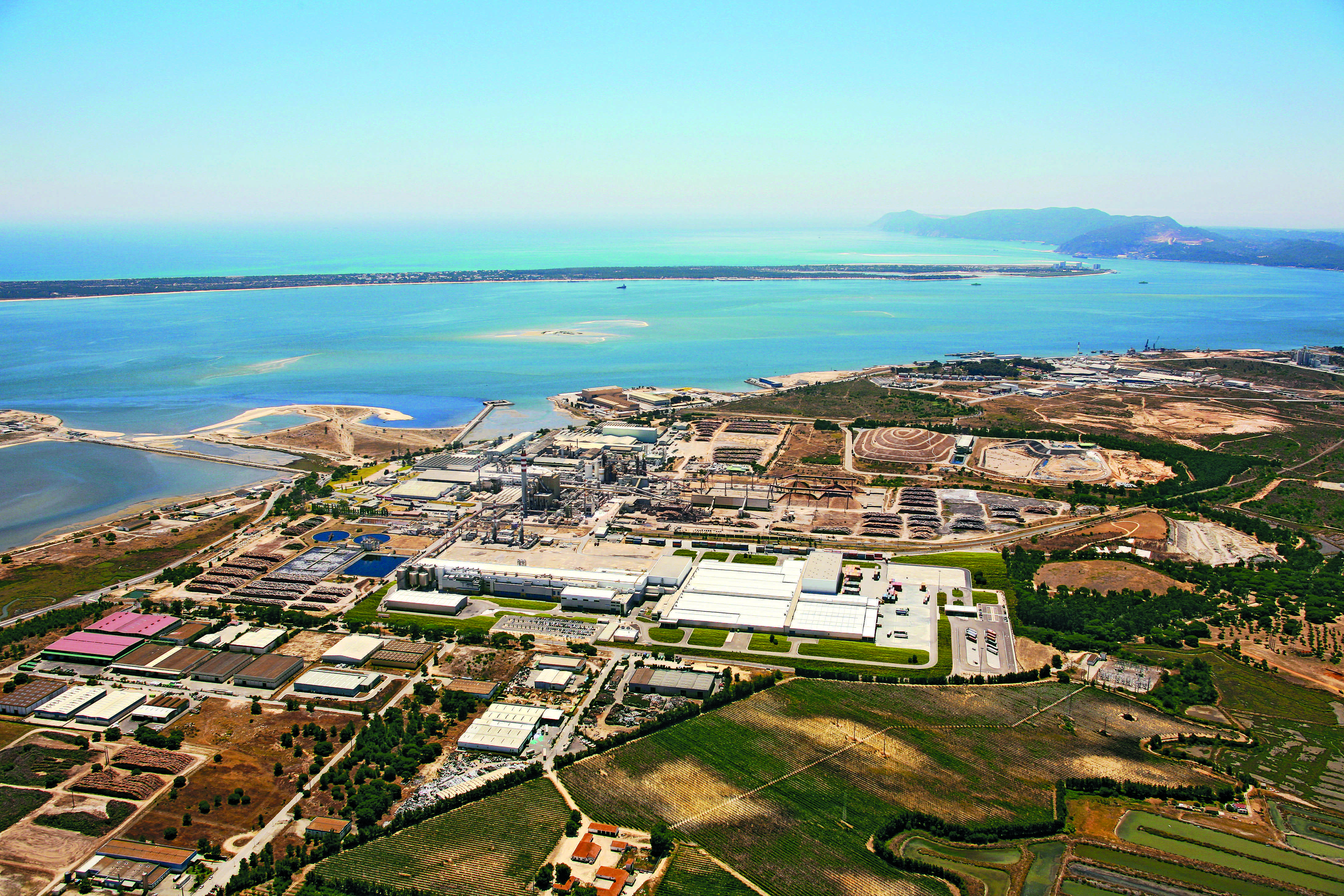 BMH Technology to supply a biomass handling system to Navigator Pulp ...