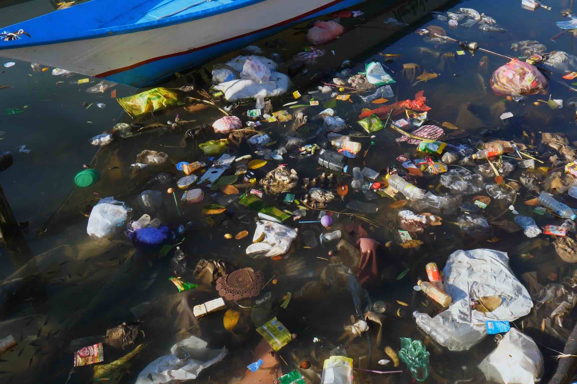 Forskare varnar för växande plastföroreningar i Sverige