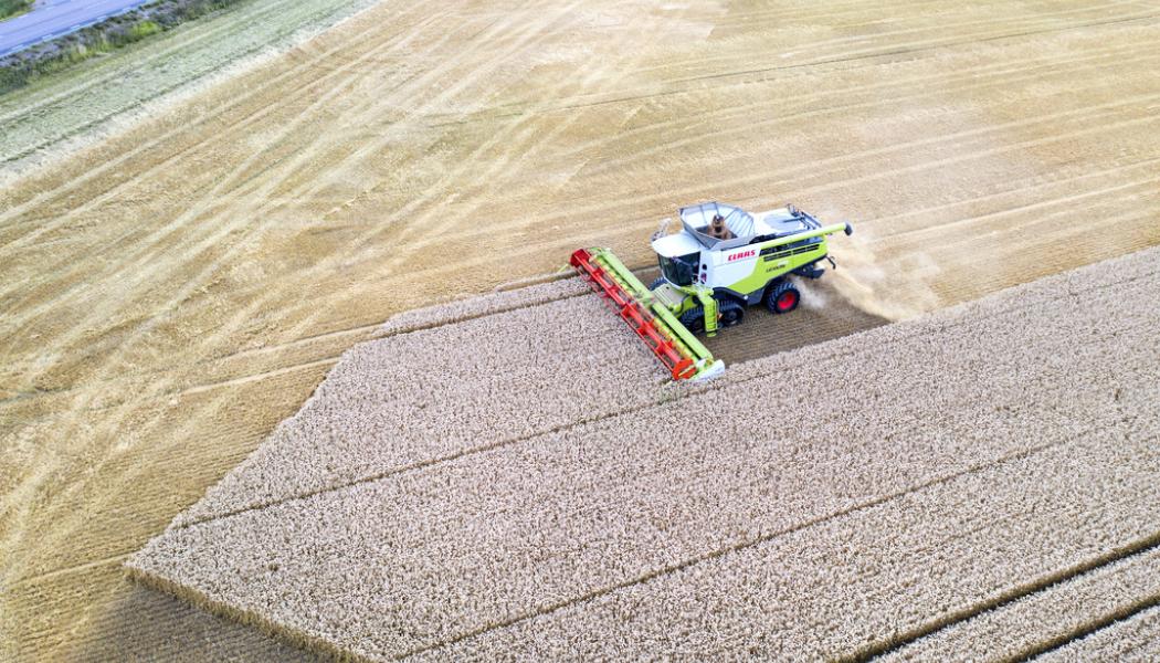 Lantmännen gör ny satsning – största på 40 år | DagensNaringsliv.se